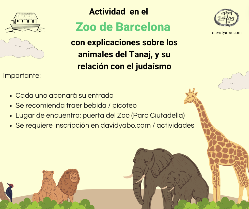 Actividades y clases online / presenciales – David Yabo | Web Oficial